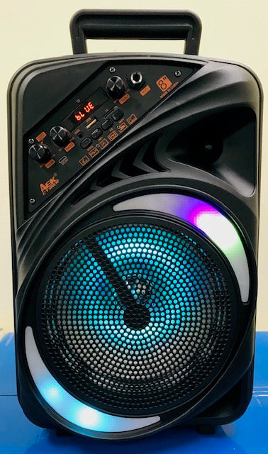 Bluetooth Speaker AEK S-10813 (8 Inch)